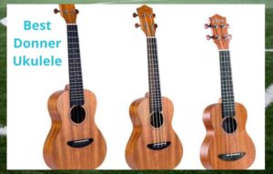 Best Donner Ukulele Reviews 2023: Top 6 Models - Ukuleles Review