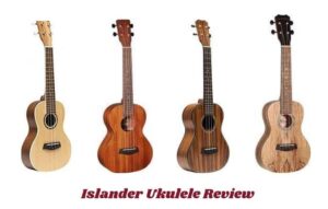 Best Islander Ukulele Review + Top 7 Islander Ukes - Ukuleles Review