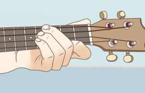 E Ukulele Chord Learn to Play with Variations - Ukuleles Review