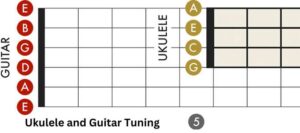 Ukulele Vs Guitar: What’s The Difference? - Ukuleles Review